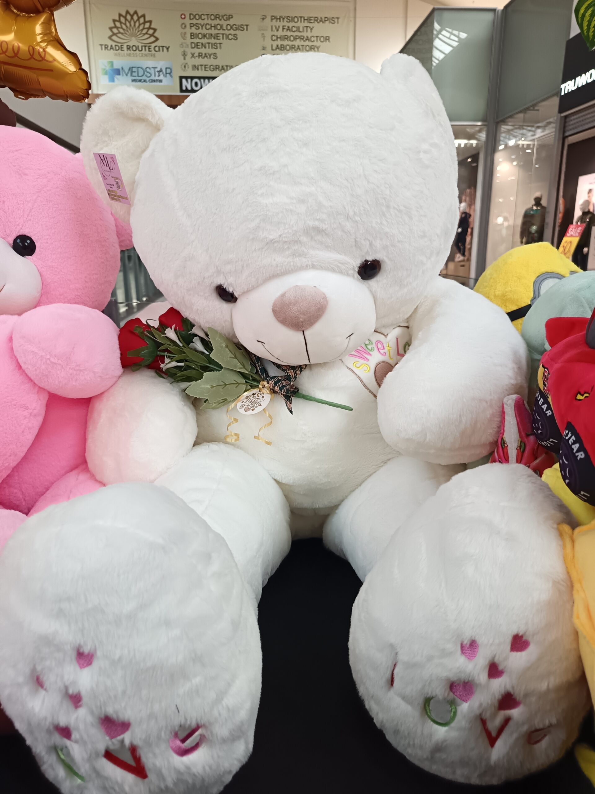 Giant Human size 120cm teddy Bear – Madame Liya