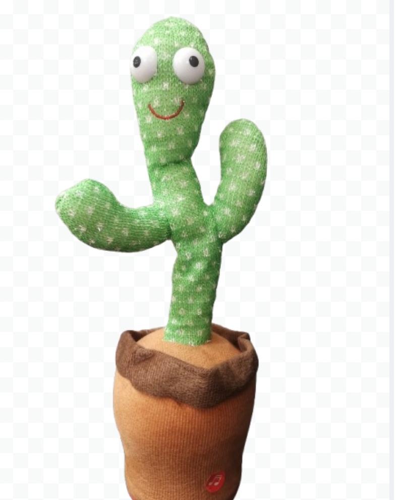 Talking Cactus – Madame Liya